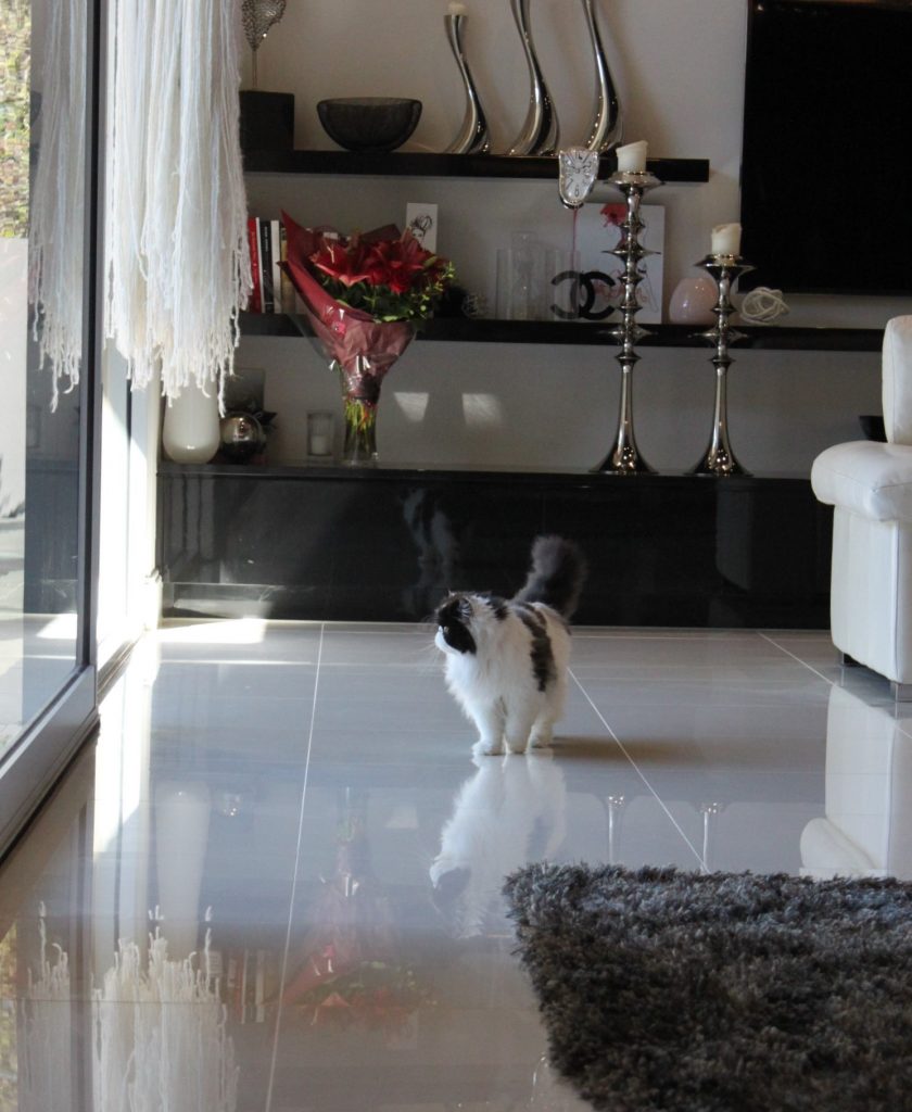 Clean Grout – Simple. And The Results Are AMAZING! – Kmart Styling